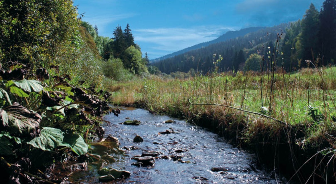 Der Mord an Miguel A. (23): Grausames Spiegelbild einer gleichgültigen ...